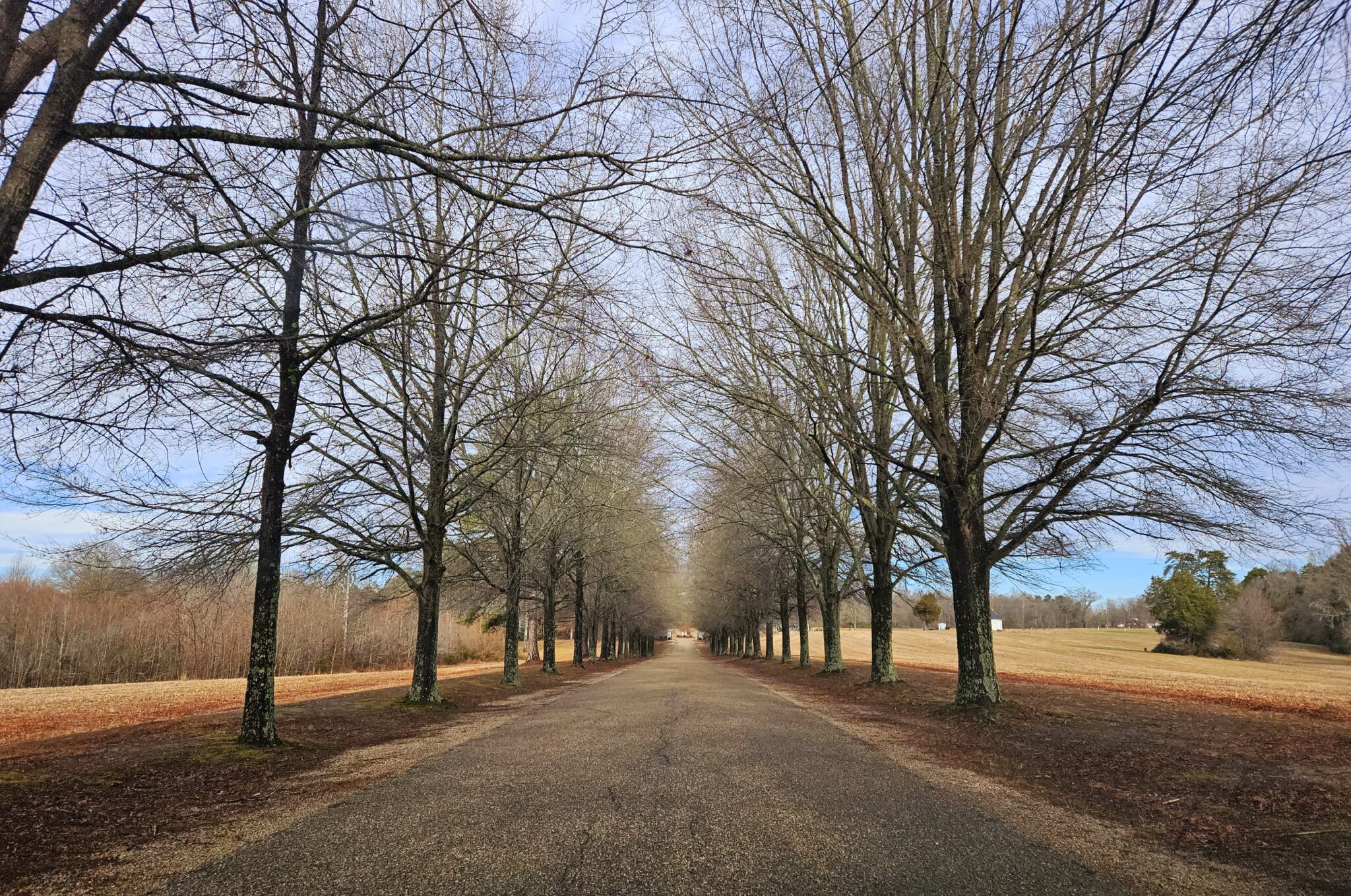 The Berry Hill Resort: Now That's History! - Family Beautiful